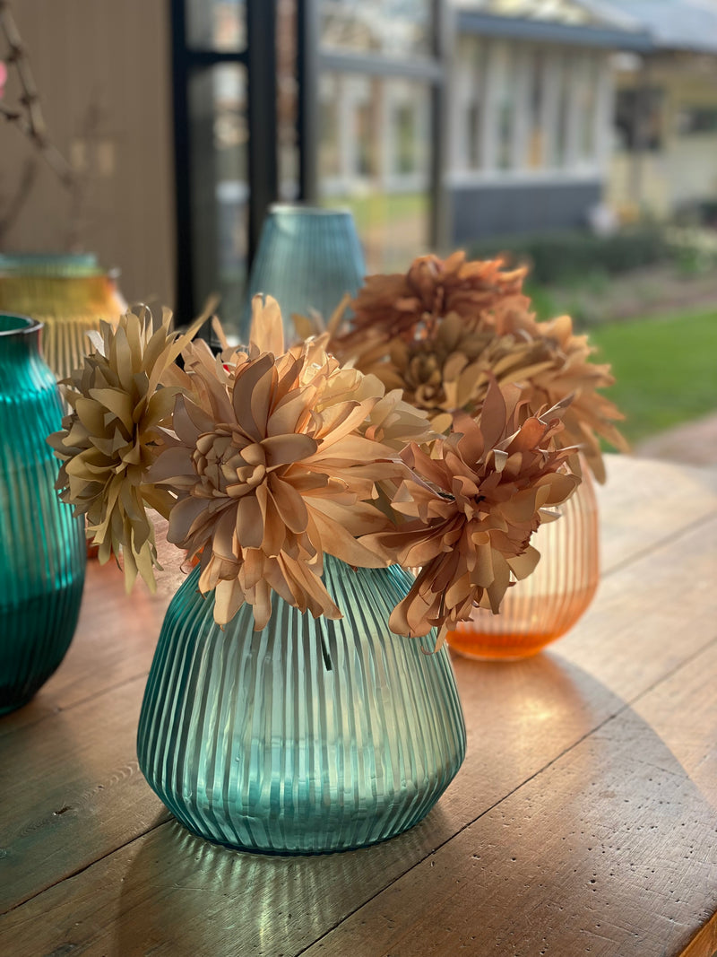 the glasshouse - bisonhome